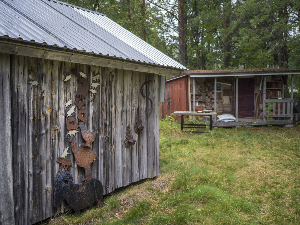 The life’s work of two visual artists benefit science and art of the ...